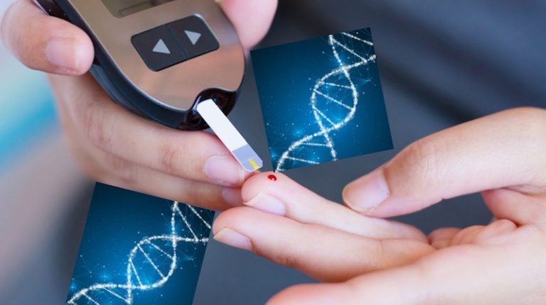New diabetes genes found in massive sequencing study - Boston Children ...