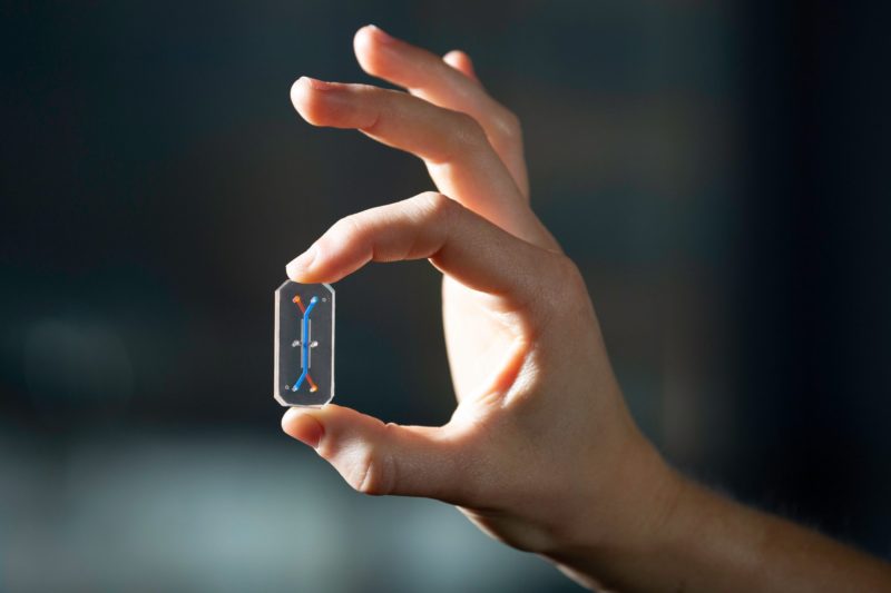 Bone marrow-on-a-chip provides new research directions for Shwachman ...