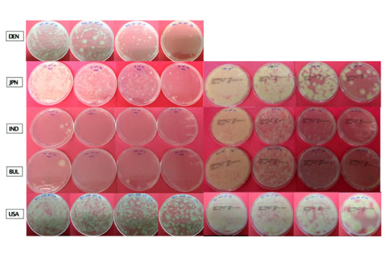 100 years after the advent of TB vaccines, formulations vary widely ...