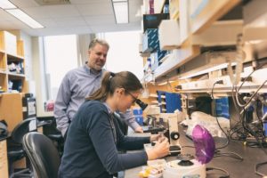 Drug repurposing and DNA mining: The hunt for new endometriosis ...