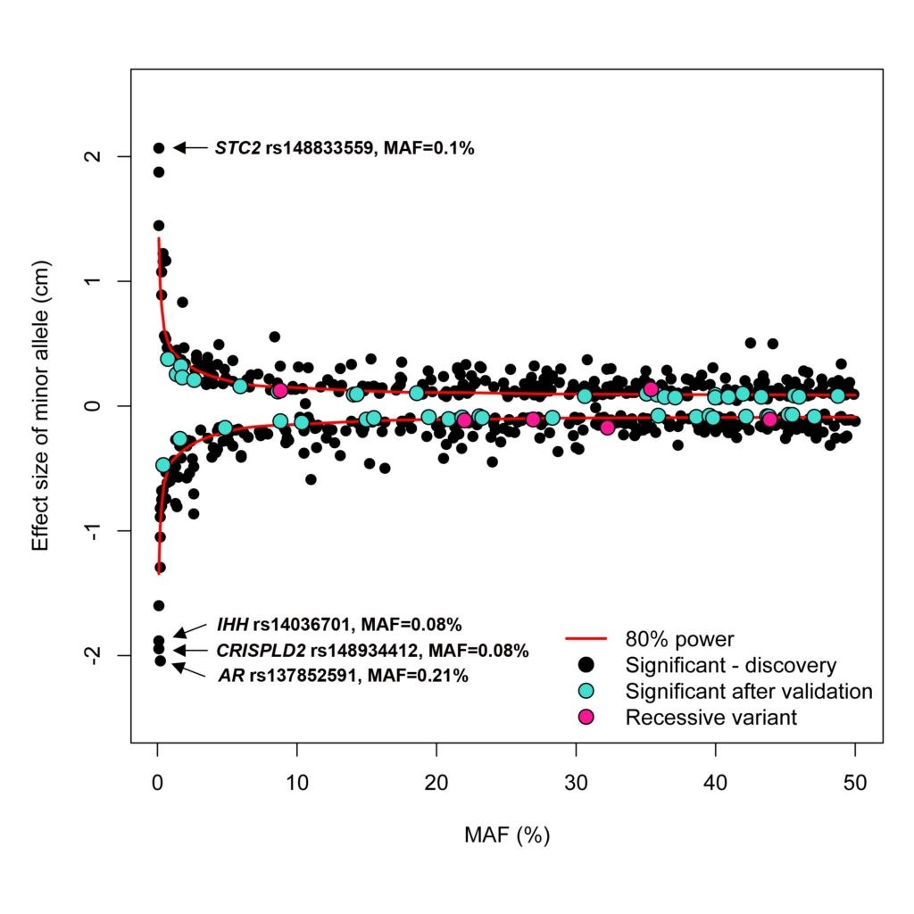Why I’m tall and you’re short: GIANT effort finds rare, potent height ...
