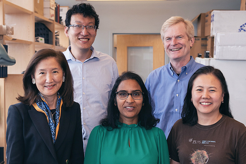 A new view of heart health: Accumulating mutations - Boston Children's ...