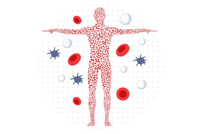 Could blood be made outside the bone marrow? - Boston Children's Answers
